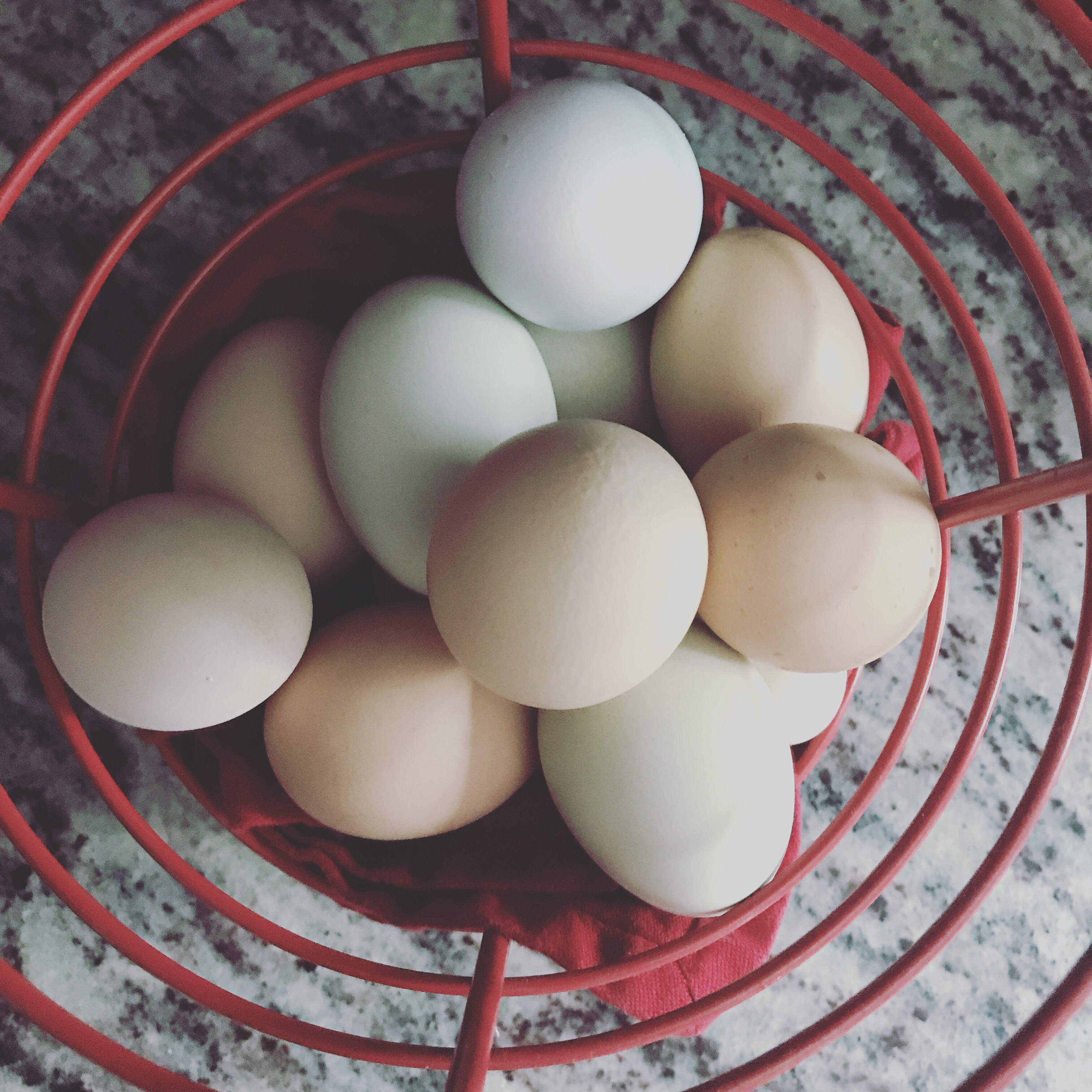 Home - Picalily Farm